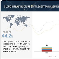 클라우드 인프라 권한 관리 (CIEM) 시장조사 보고서│SEMABIZ, Inc. | ChosaReport-Korea